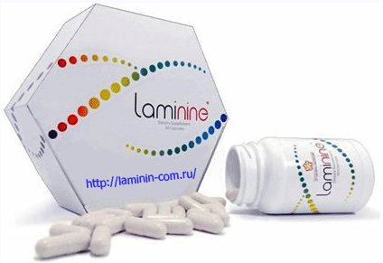 ЛАМИНИН: инструкция, отзывы, аналоги, цена в аптеках - Medcentre.com.ua