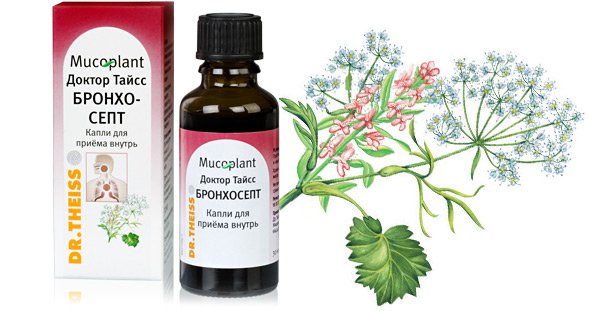 БРОНХОСЕПТ: инструкция, отзывы, аналоги, цена в аптеках - Medcentre.com.ua